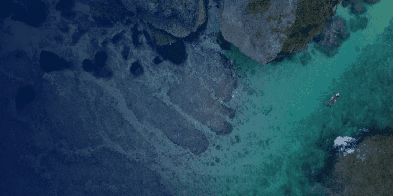 What is a Non-Binding Indicative Offer? – William Buck New Zealand